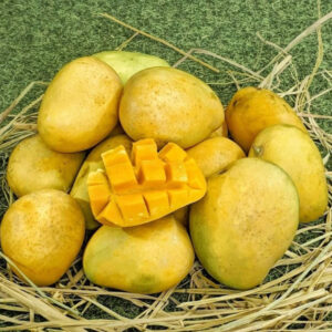 Shop - Nuziveedu Rasalu